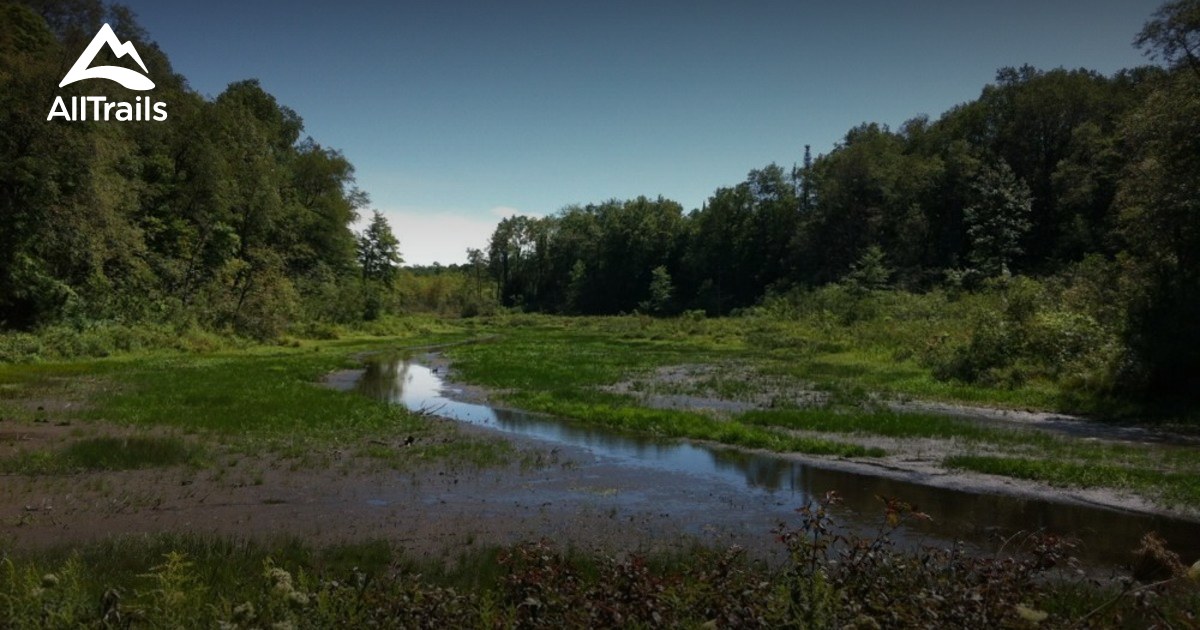 Best hikes and trails in Bear Swamp State Forest | AllTrails