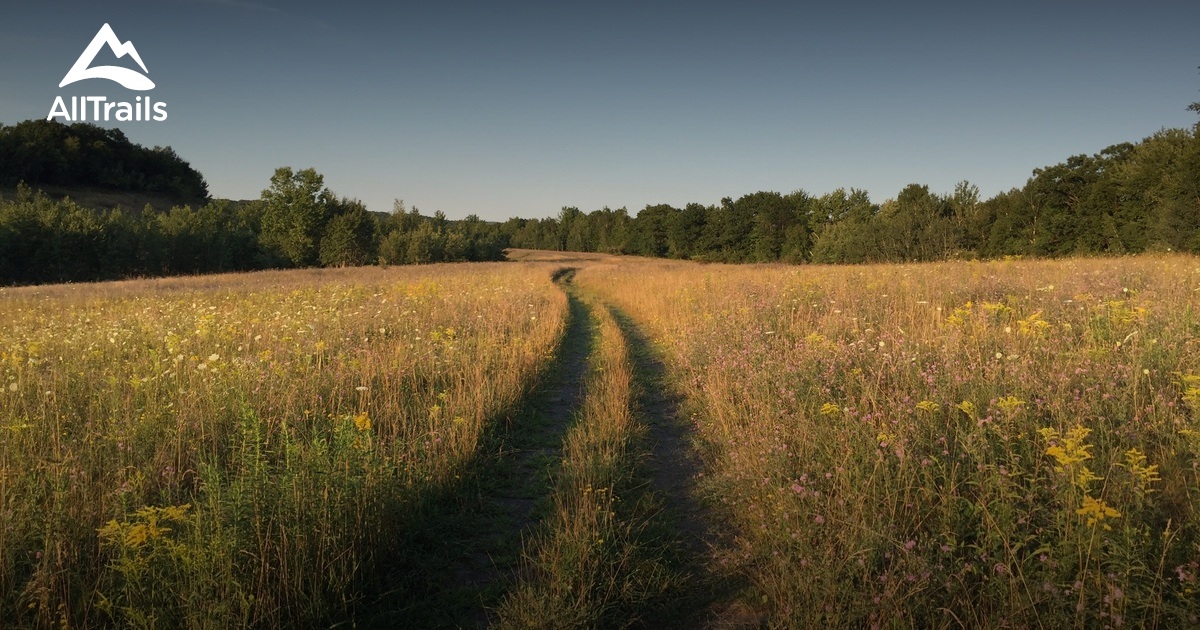 Best hikes and trails in Aylesworth Park | AllTrails