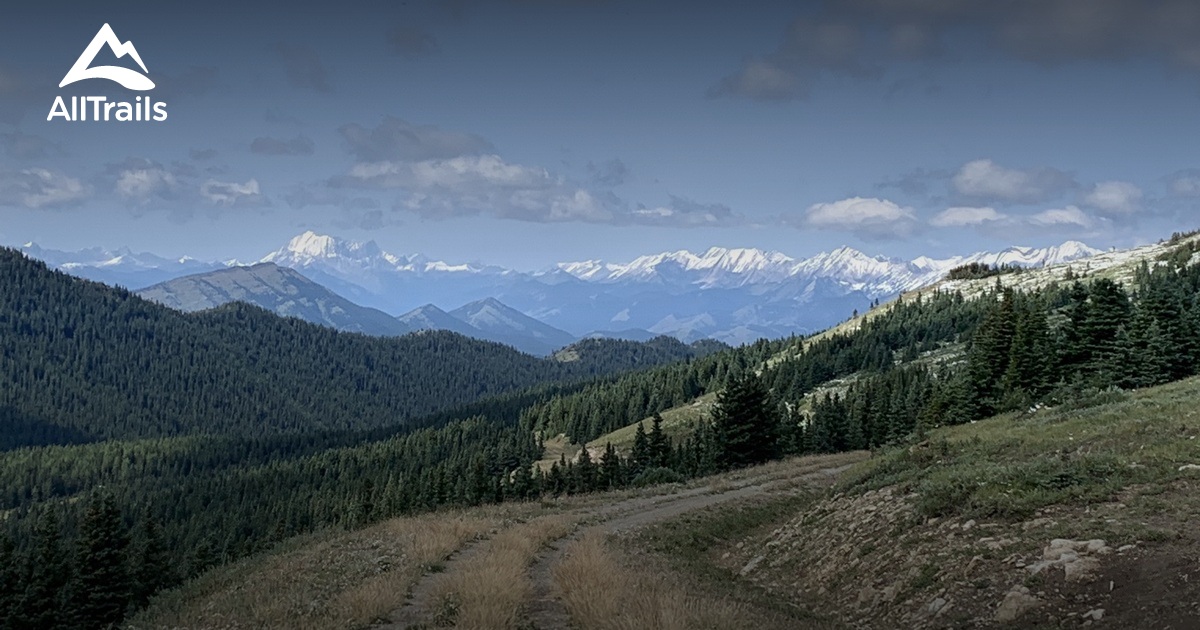 Best hikes and trails in Plateau Mountain Ecological Reserve | AllTrails
