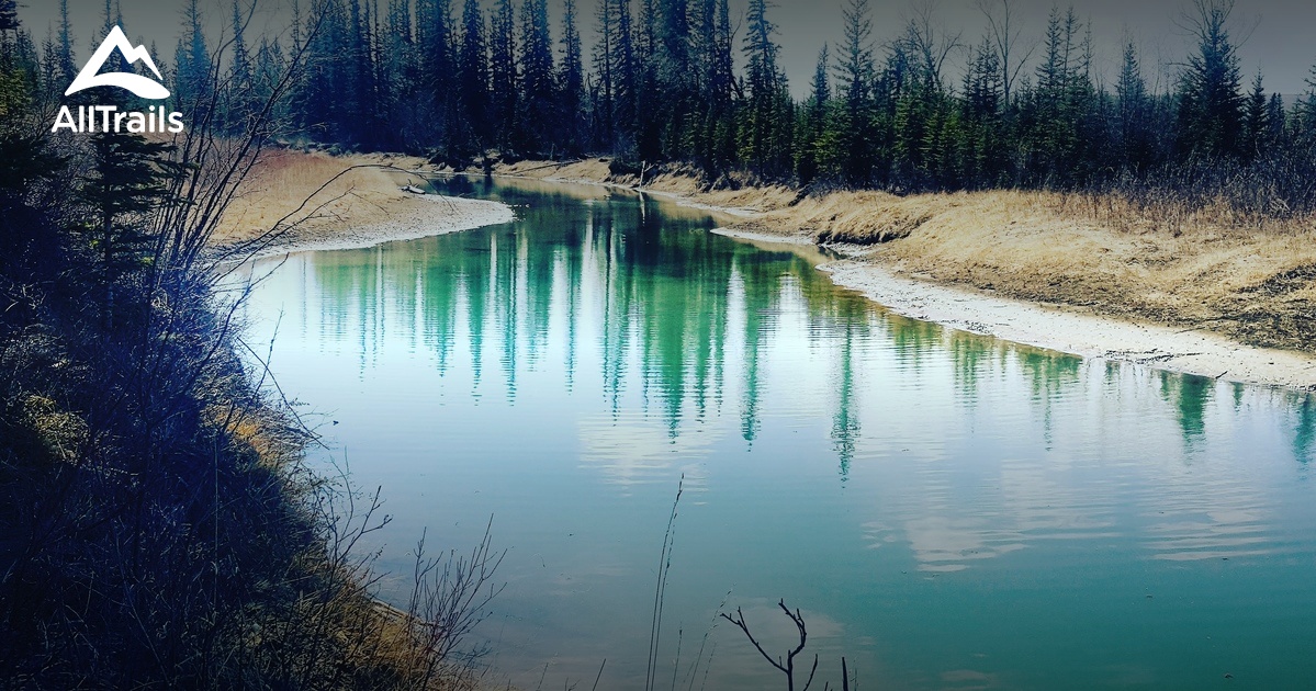 Best Trails in Weaselhead Flats - Alberta, Canada | AllTrails