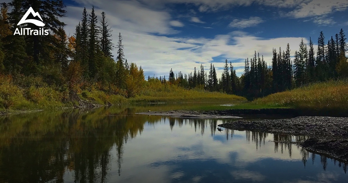 Best hikes and trails in Weaselhead Flats | AllTrails