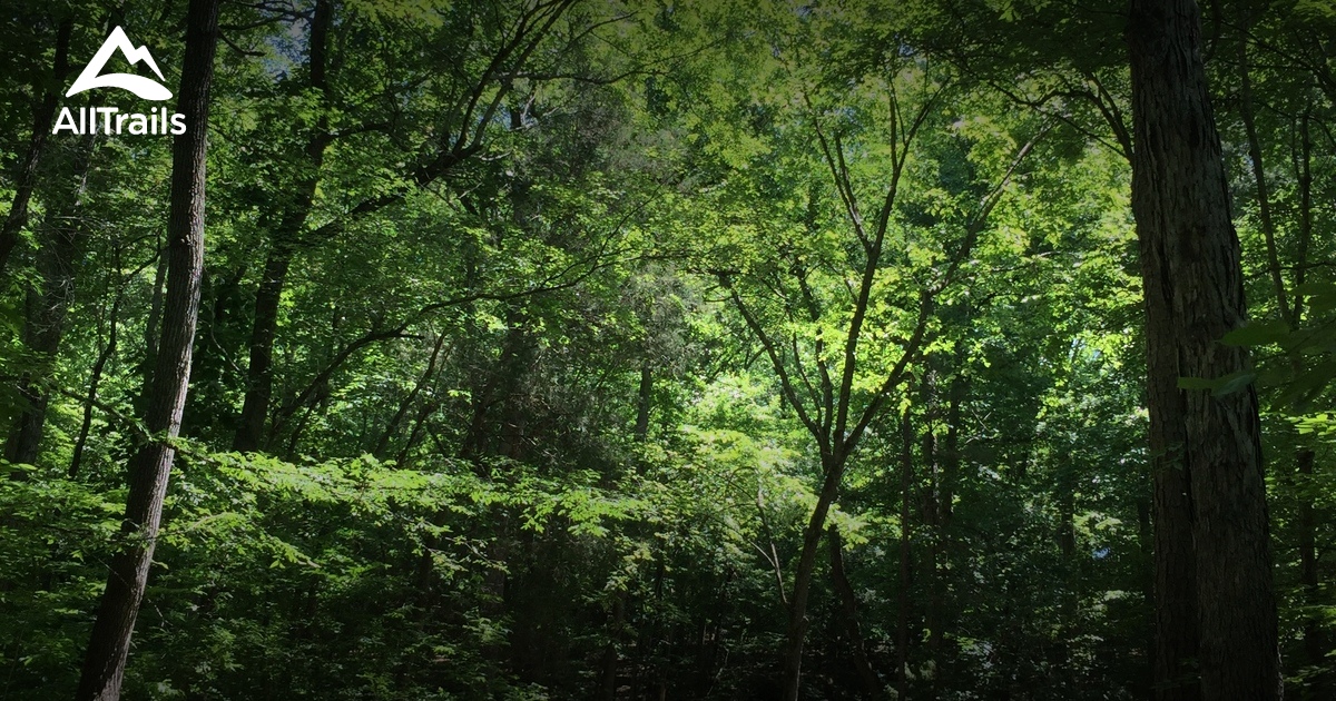 Best walking trails in Cul Res Historic Reed Gold Mine | AllTrails
