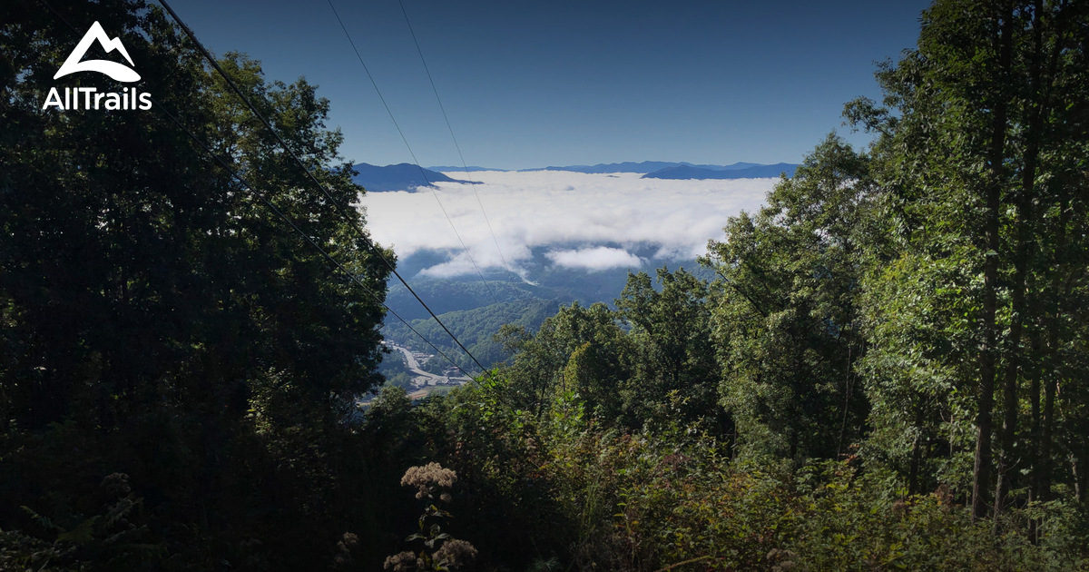 Best hikes and trails in Cherokee Indian Reservation | AllTrails