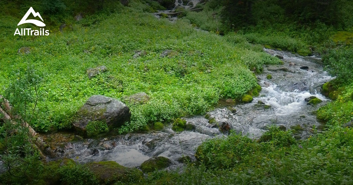 Best hikes and trails in Gorman Lake and Trail Recreation Site | AllTrails