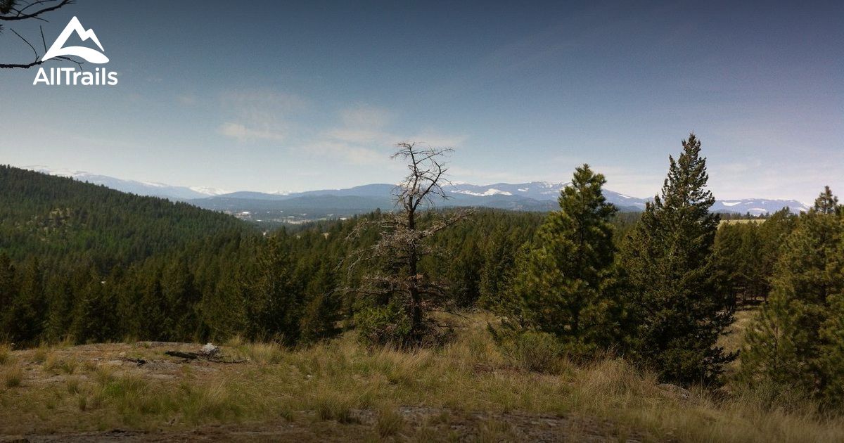 Best Trails in Cranbrook Community Forest Recreation Site - British ...