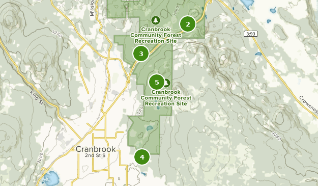 Best Trails in Cranbrook Community Forest Recreation Site - British ...