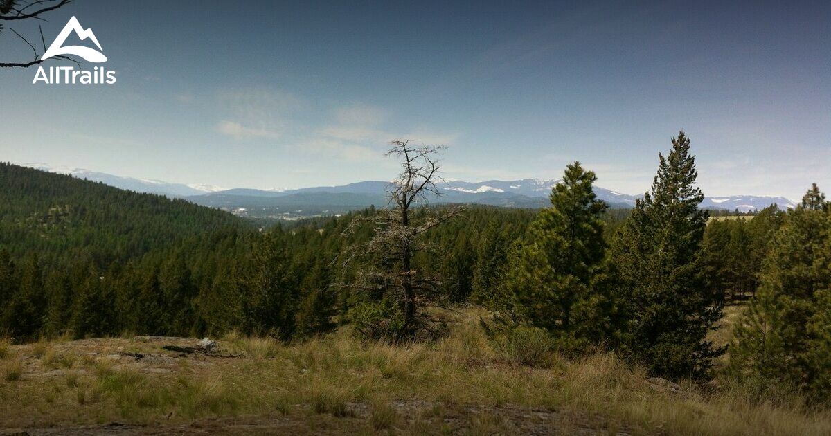 10 Best hikes and trails in Cranbrook Community Forest Recreation Site ...