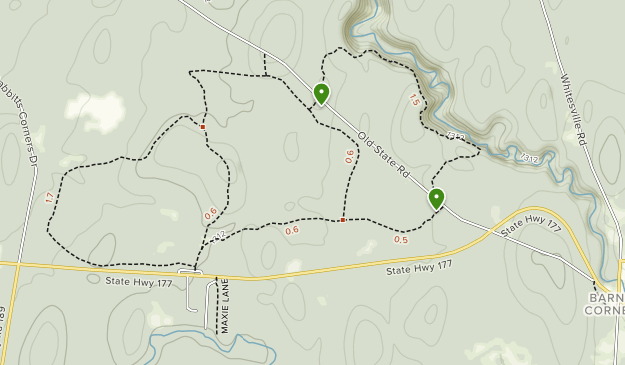 Best Trails in Tug Hill State Forest - New York | AllTrails