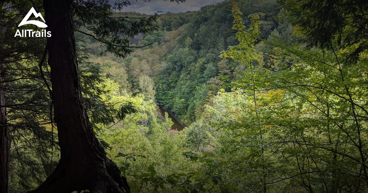 Best hikes and trails in Tug Hill State Forest | AllTrails