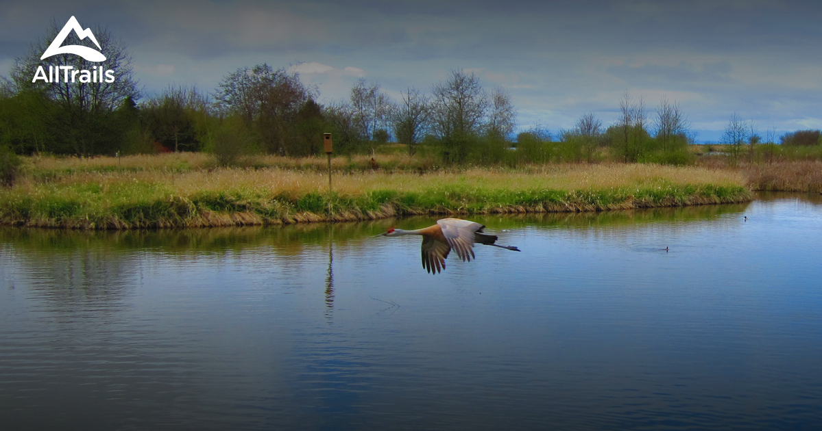 George C. Reifel Migratory Bird Sanctuary : de beste routes om te ...