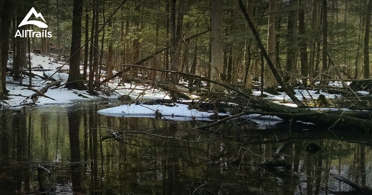 Best hikes and trails in Stewart Preserve | AllTrails