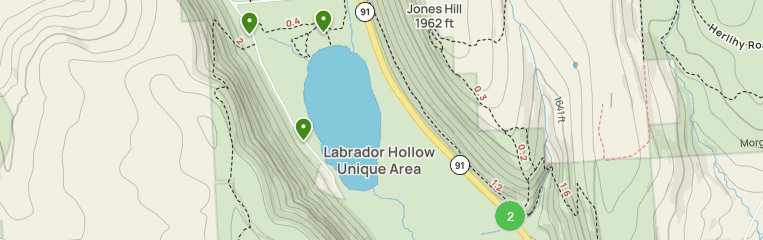 Best Hikes and Trails in Labrador Hollow Unique Area | AllTrails