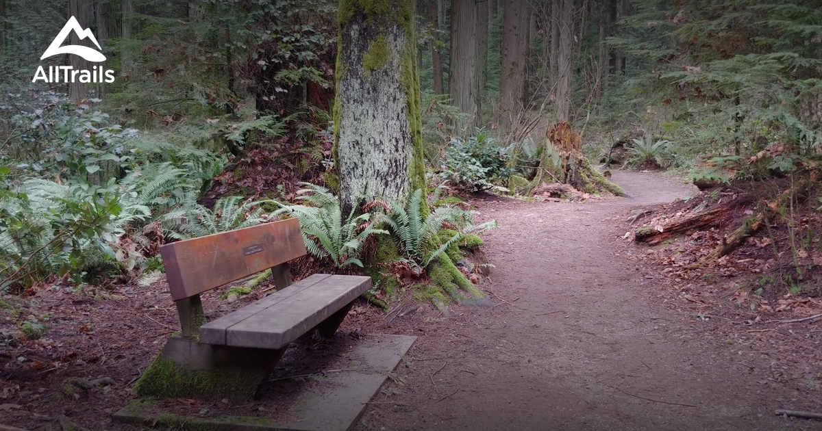 Best hikes and trails in UBC Endowment Lands | AllTrails