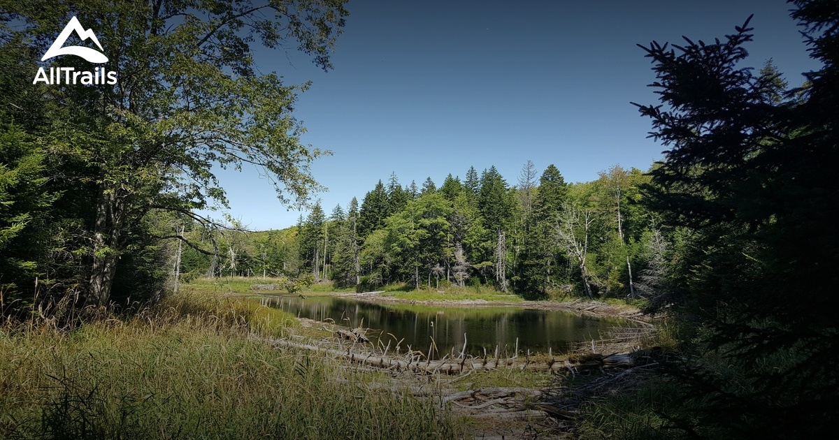 Best hikes and trails in Gully Lake Wilderness Area | AllTrails