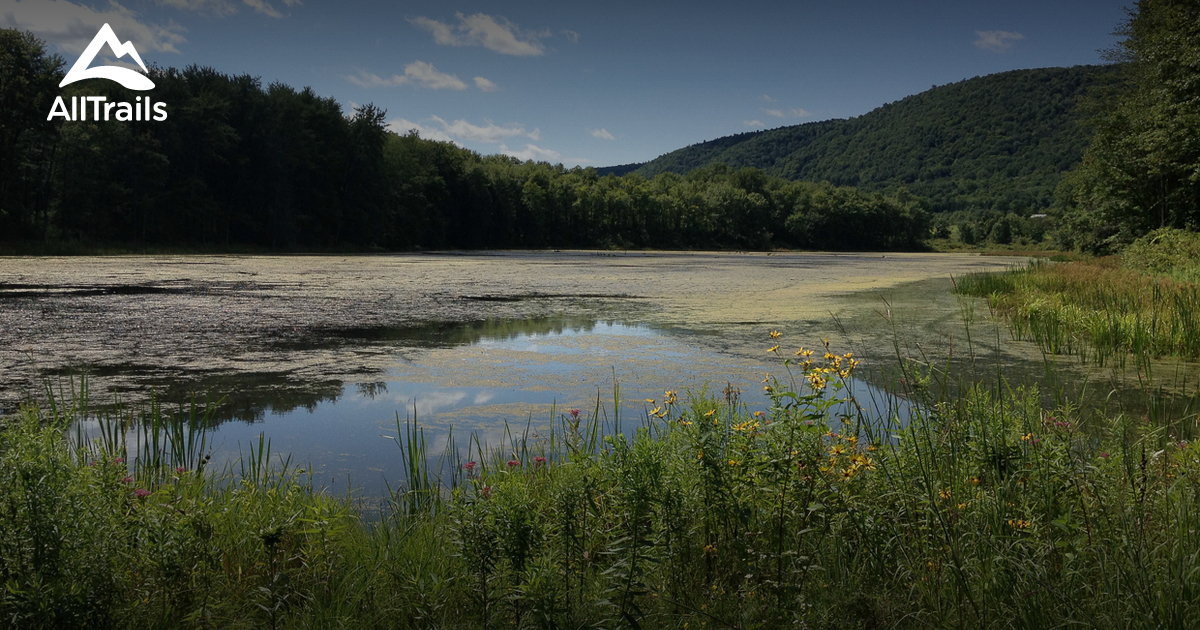 Best hikes and trails in Lindsay-Parsons Biodiversity Preserve | AllTrails