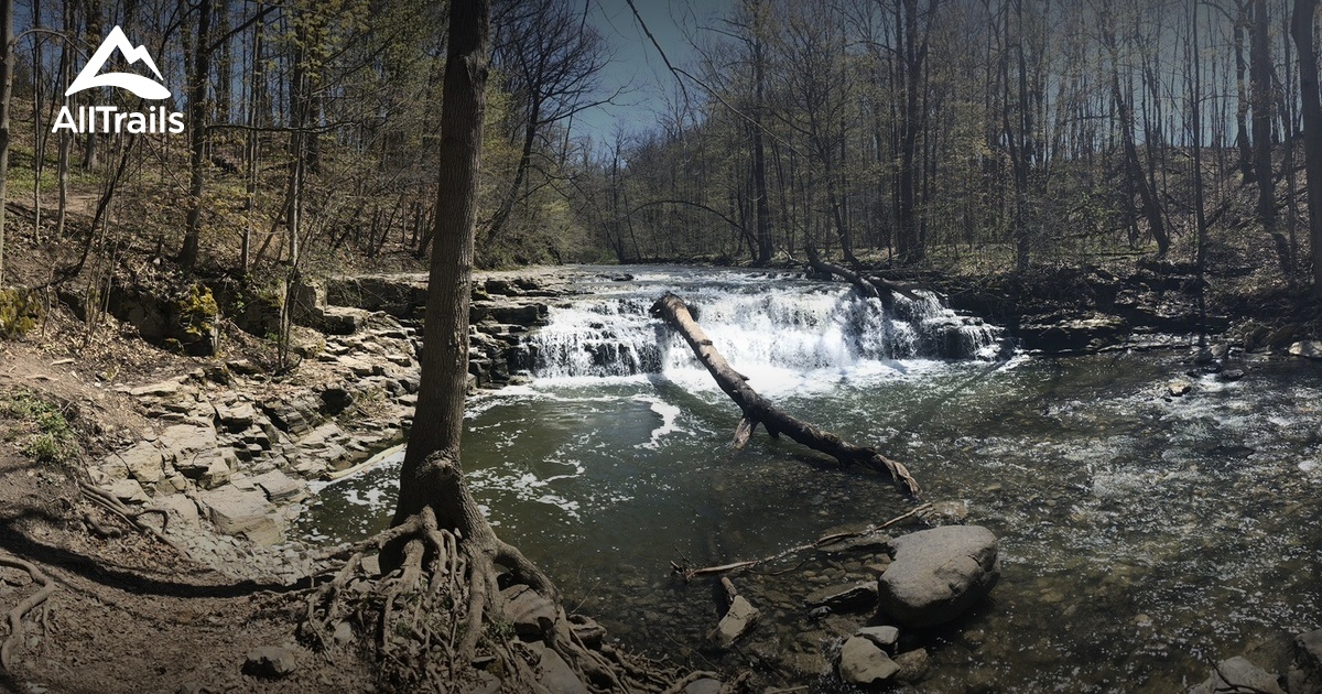 Best hikes and trails in Great Gully Nature Preserve | AllTrails