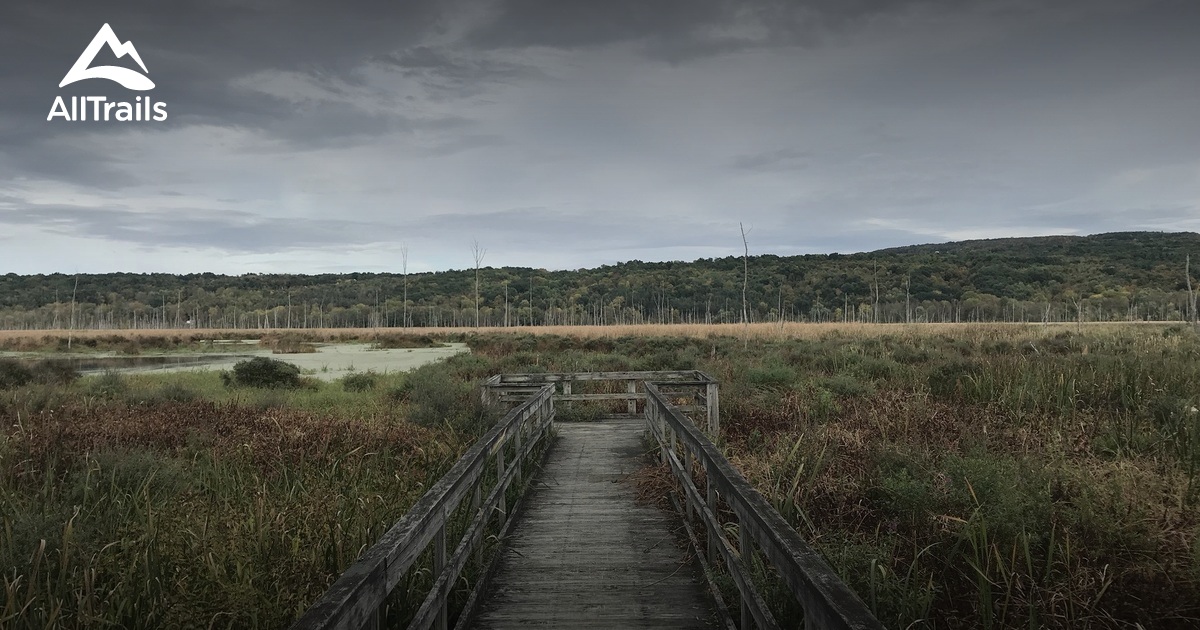 Best hikes and trails in Conesus Inlet Wildlife Management Area | AllTrails