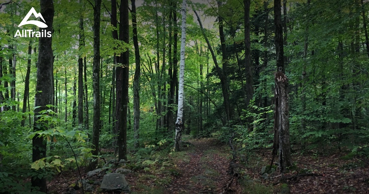 Best hikes and trails in Colgate Lake Wild Forest | AllTrails