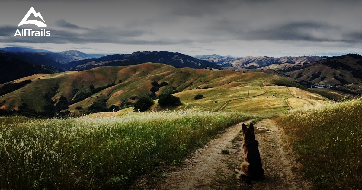 Best hikes and trails in Loma Alta Open Space Preserve | AllTrails