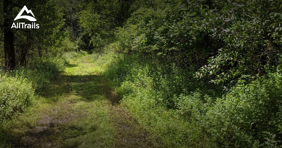 Best hikes and trails in Dismal Swamp Conservation Area | AllTrails