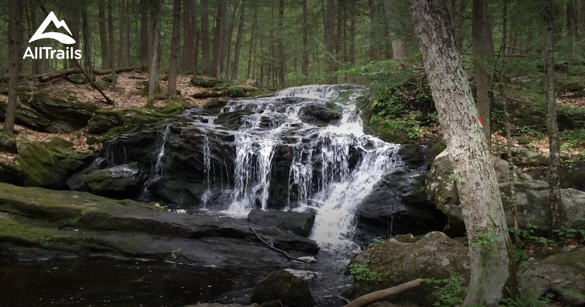 De beste stiene for hunder i bånd i Tucker Brook Town Forest | AllTrails