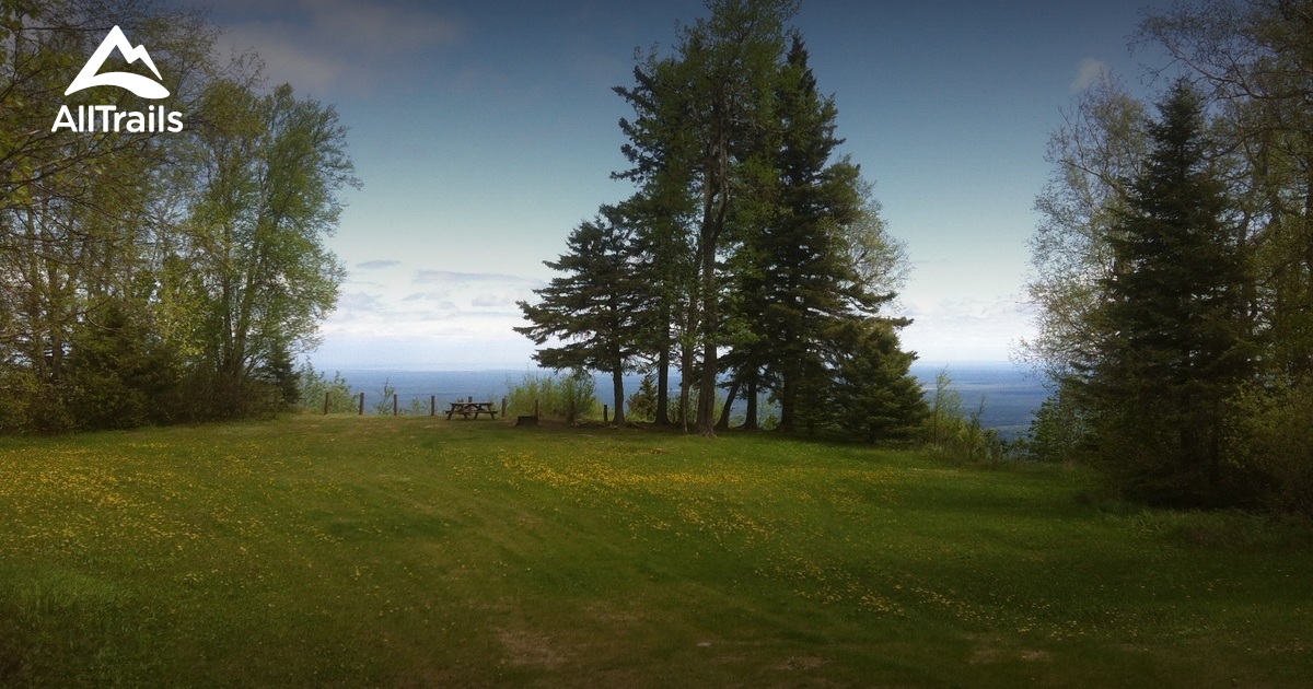 10 Best forest trails in Porcupine Provincial Forest | AllTrails