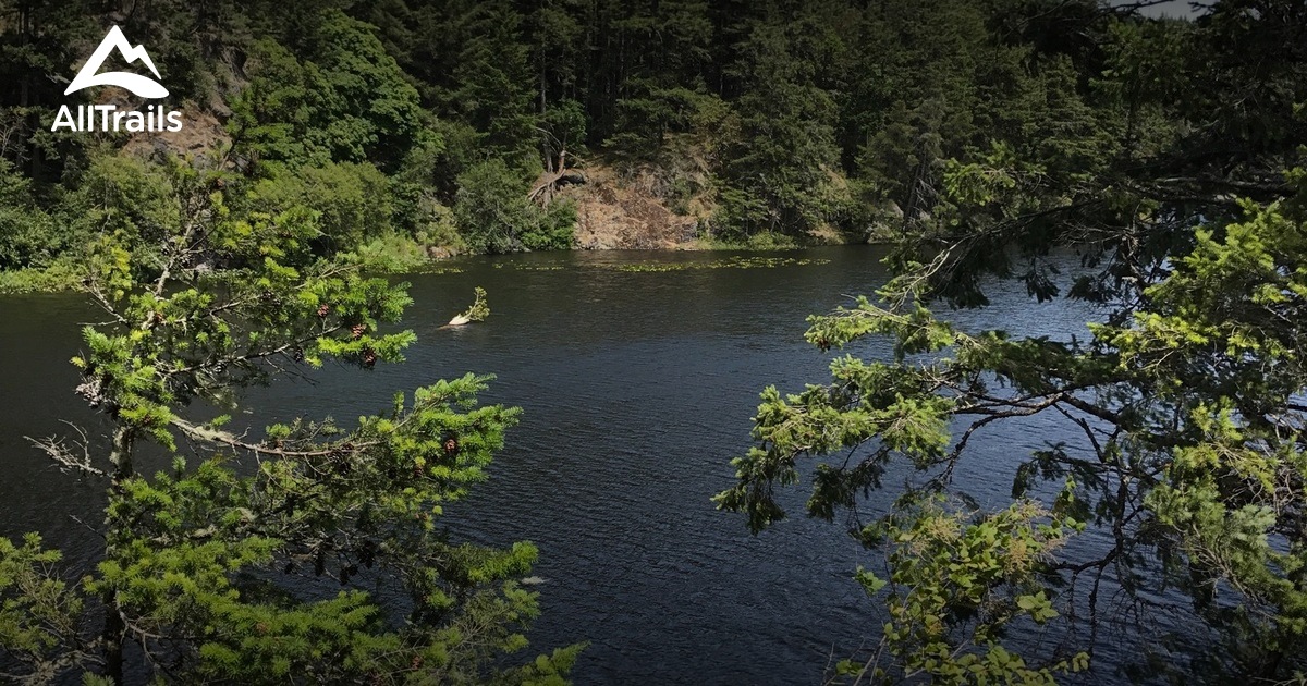 Best hikes and trails in Roche Cove Regional Park | AllTrails