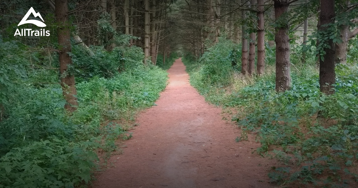 Best hikes and trails in Pittock Conservation Area | AllTrails