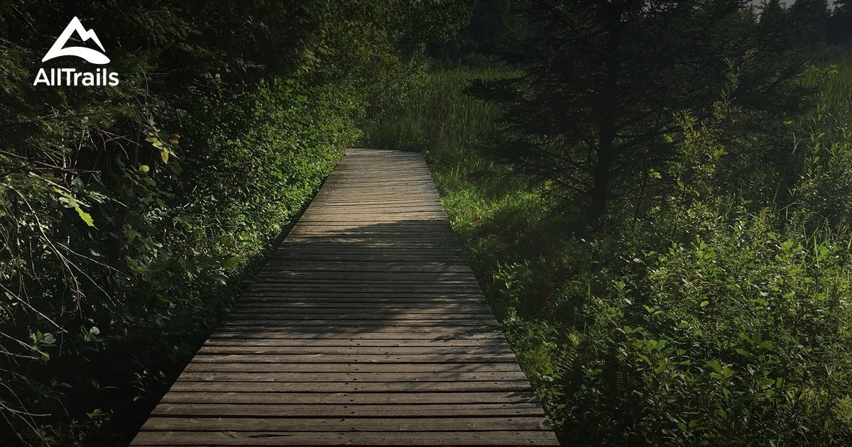 10 Best walking trails in NCC Greenbelt | AllTrails