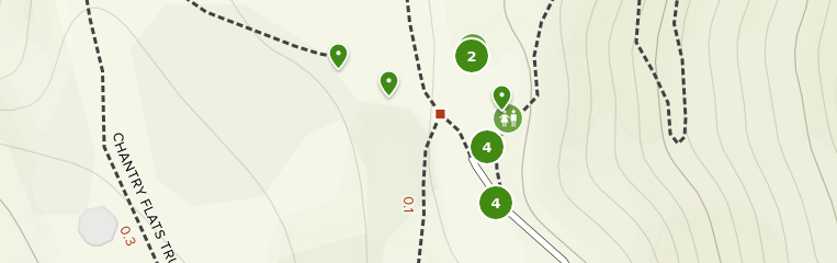Best Trails in Chantry Flat Recreation Area - California | AllTrails