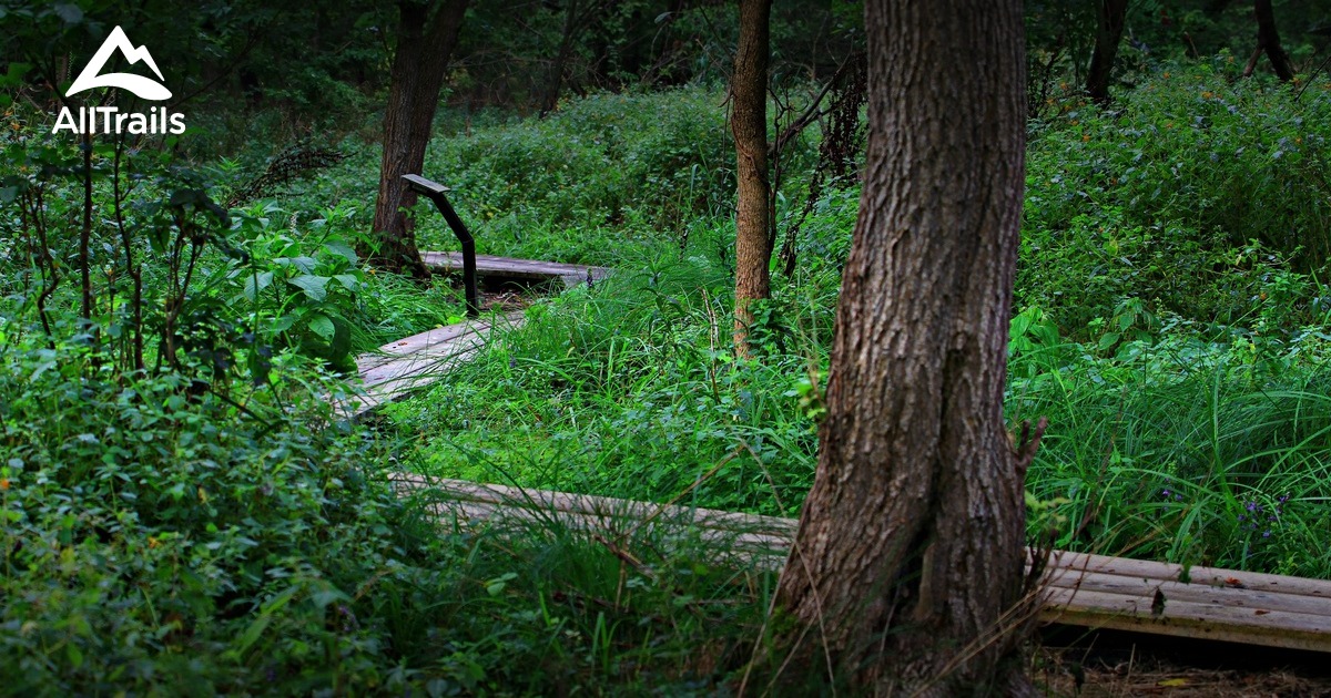 Best hikes and trails in Beckwith Nature Preserve | AllTrails