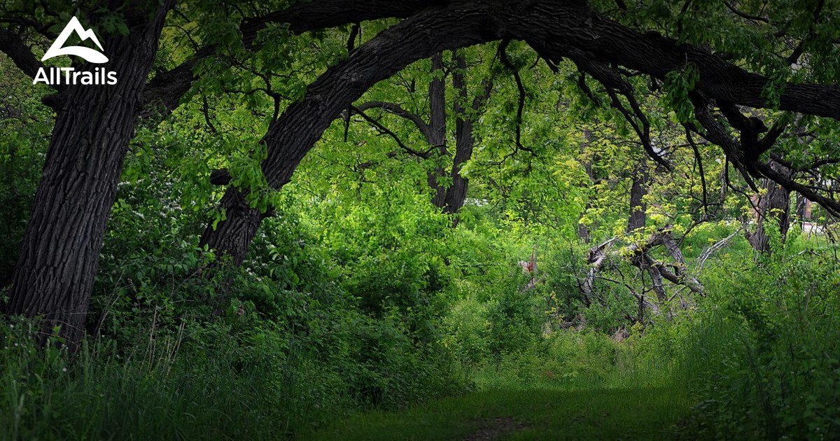 Best hikes and trails in Kenyon Farm Forest Preserve | AllTrails