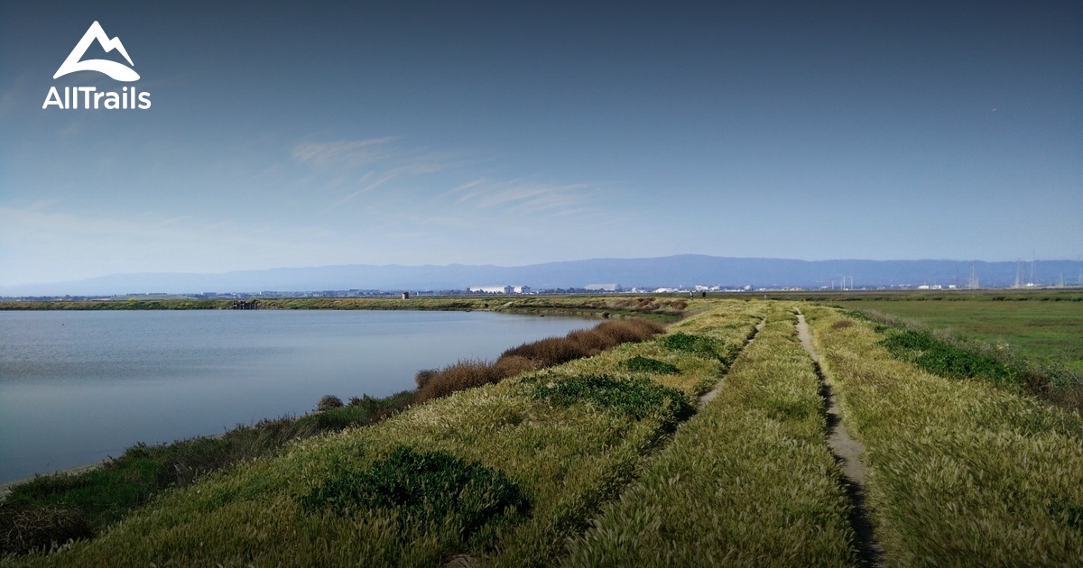 Best Trails in Alviso Marina County Park - California | AllTrails