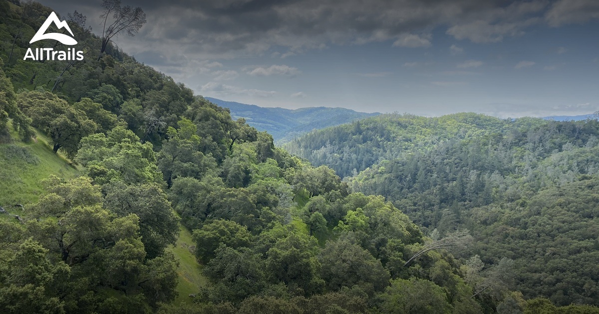 Best hikes and trails in Moore Creek Park | AllTrails