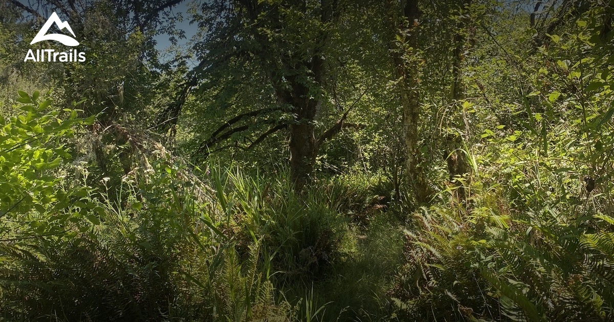 Best hikes and trails in Fern Ridge Wildlife Area | AllTrails