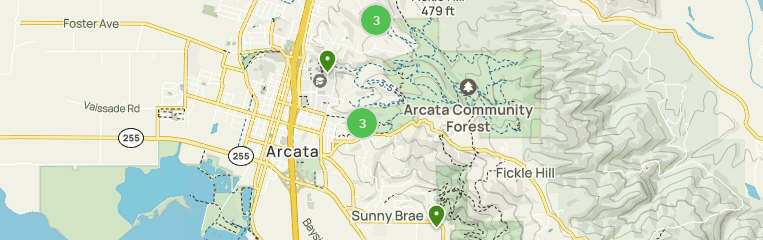 Best Hikes and Trails in Arcata Community Forest | AllTrails
