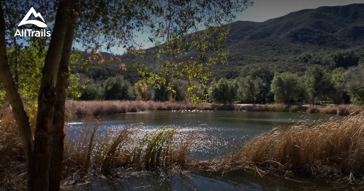 Best hikes and trails in Wilderness Gardens County Preserve | AllTrails