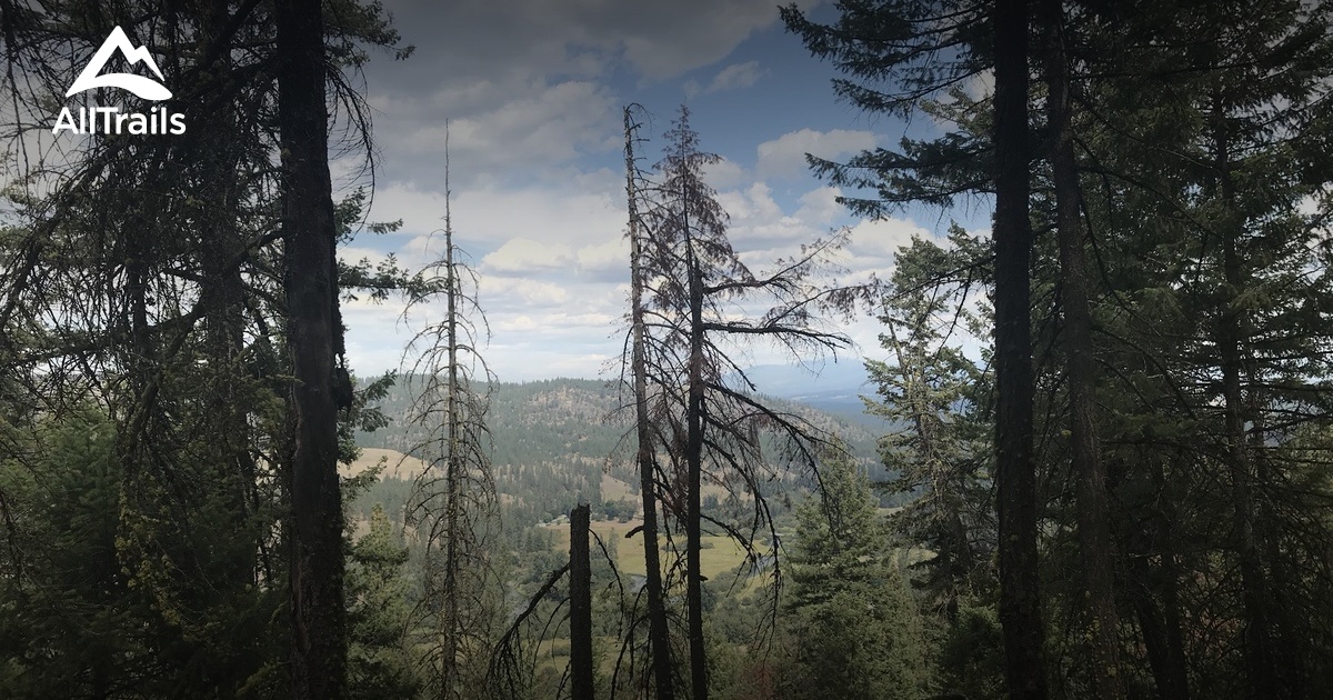 Best trails in Little Spokane Natural Area, Washington | AllTrails