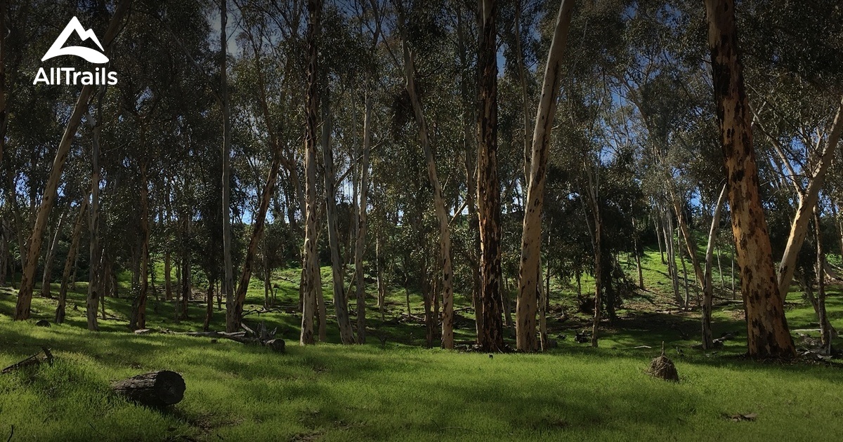 Best trails in Hosp Grove Park, California | AllTrails