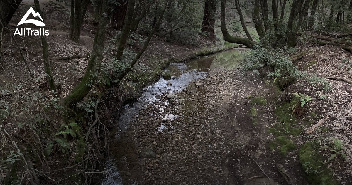 Best Trails in Soquel Demonstration State Forest - California | AllTrails