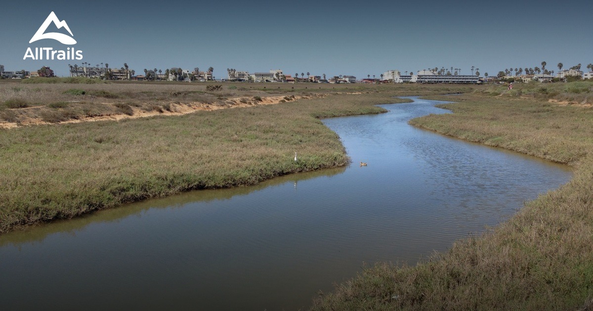 De beste routes met wilde bloemen in Tijuana Slough National Wildlife ...