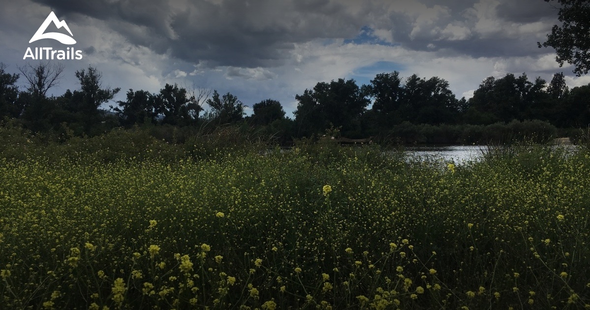 Best Trails in Sepulveda Basin Wildlife Reserve - California | AllTrails