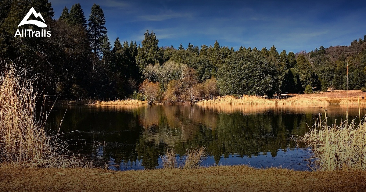 Best forest trails in Doane Valley Natural Preserve | AllTrails