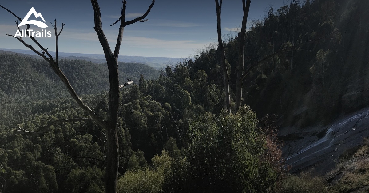 Best Trails in Murrindindi River Natural Features and Scenic Reserve ...
