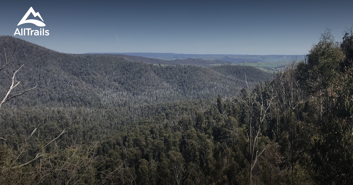 Best Trails in Murrindindi River Natural Features and Scenic Reserve ...