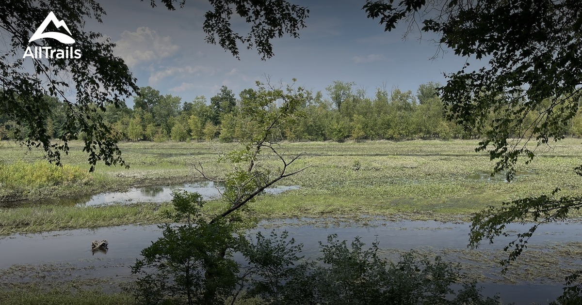 Beste kindvriendelijke wandelroutes in Arcadia Wildlife Sanctuary ...