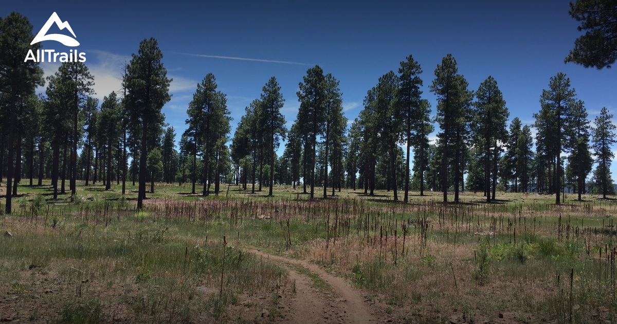 Best Trails in Fort Tuthill County Park - Arizona | AllTrails