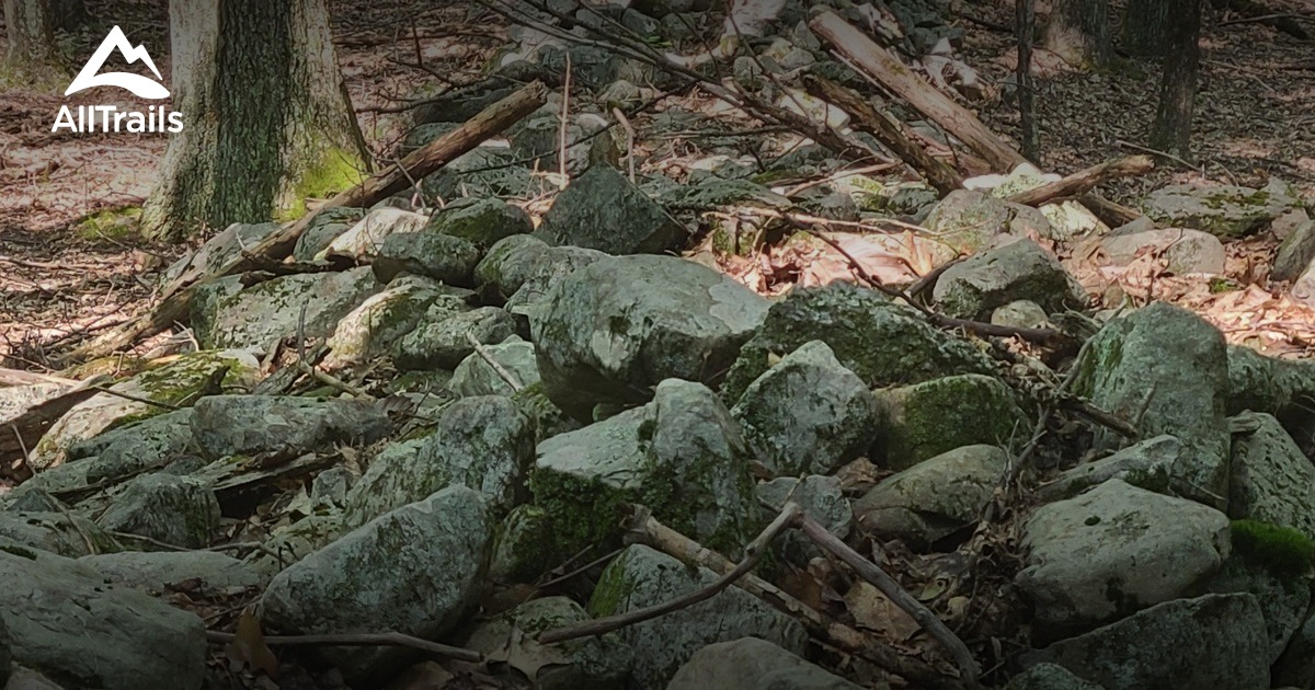 Bedste nemme ruter i Albert Family Community Forest | AllTrails