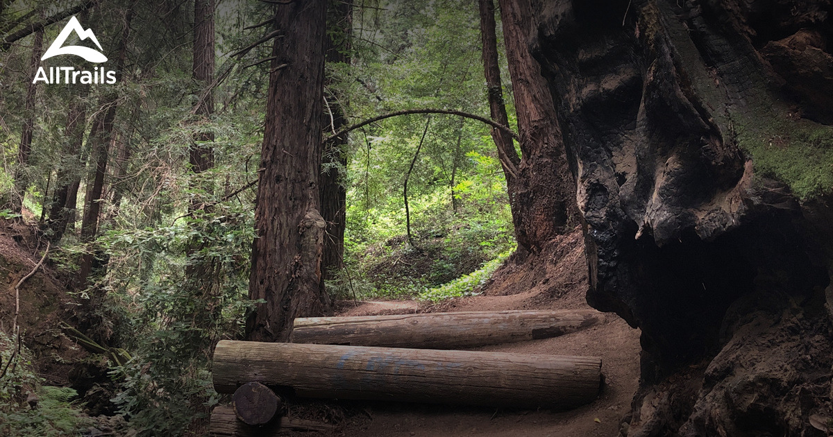 Leona Heights Park : les meilleures randonnées avec vue panoramique ...