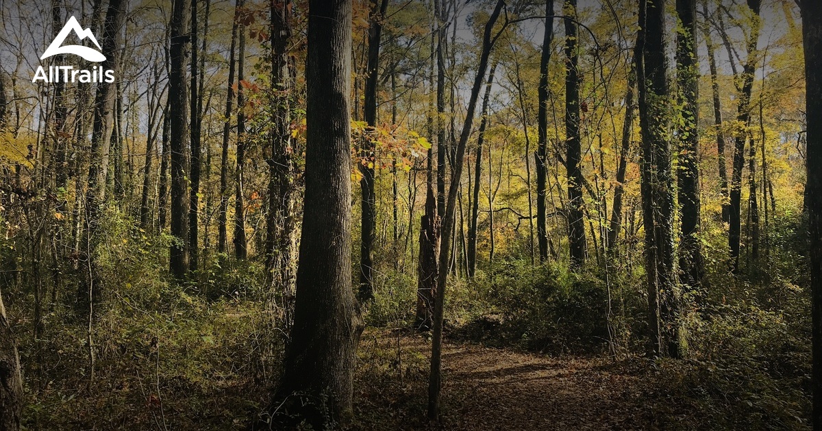 Best Hikes and Trails in Evergreen Nature Preserve | AllTrails